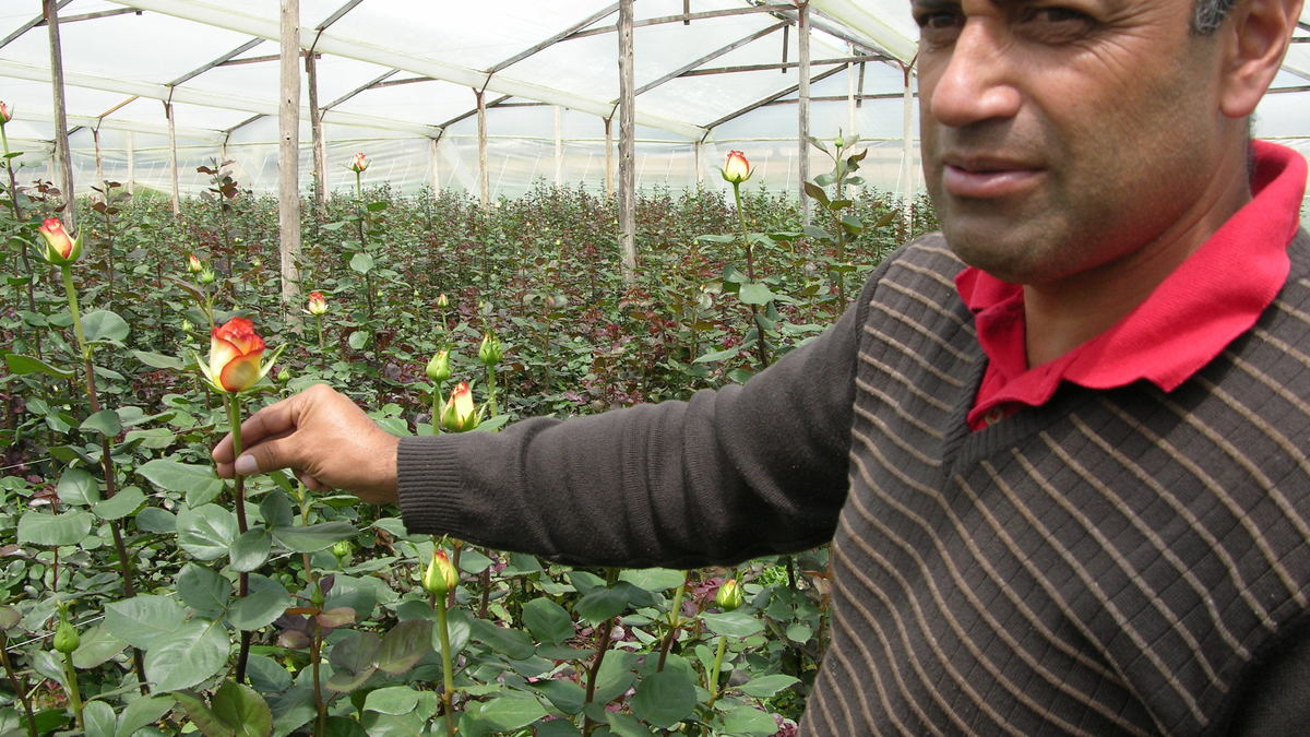 Catleya Farm